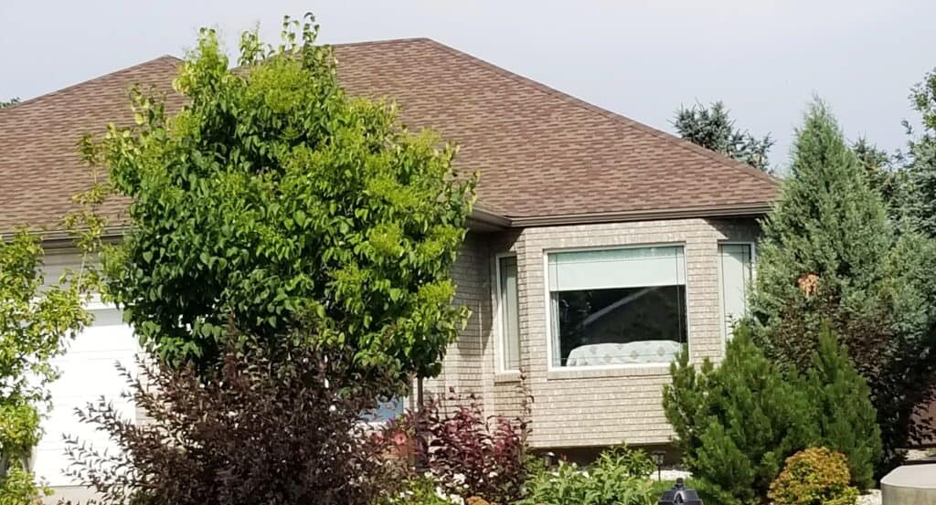 Large Picture Window, Affordable Luxury, Pros and Cons